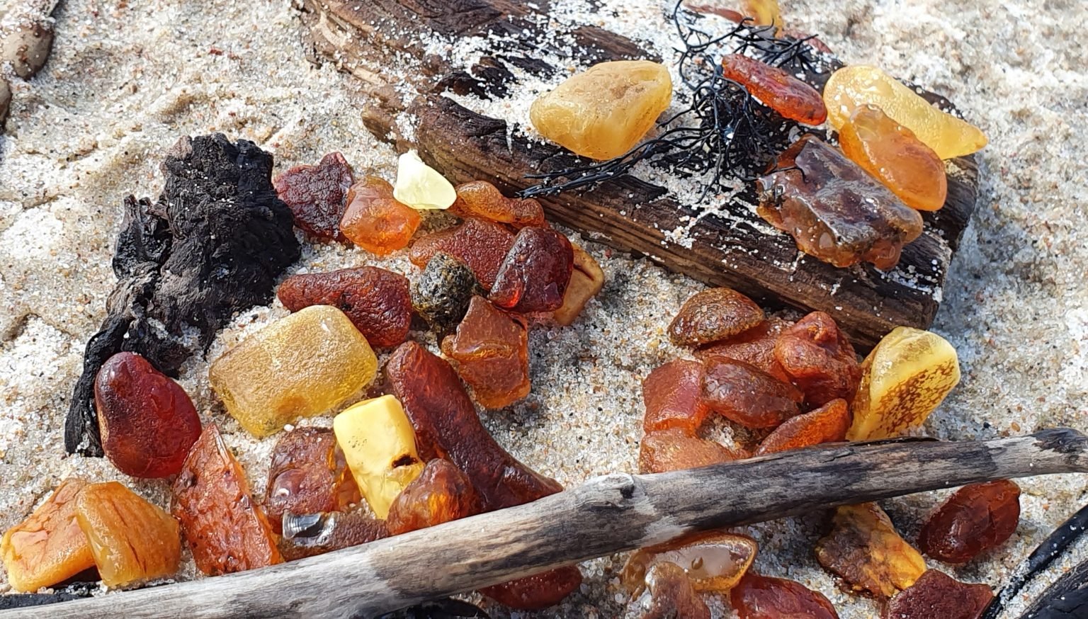 Baltic amber wholesale: Amber Heart
